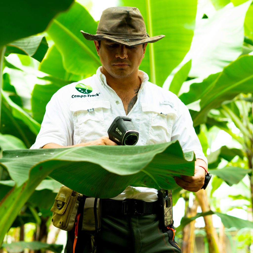 Paul Antonio Anchundia Bastidas - Atlantic International University